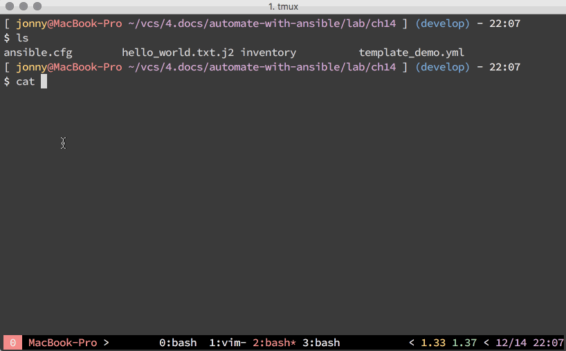 怎麼使用 Ansible 的 Template 系統? · 現代 It 人一定要知道的 Ansible 自動化組態技巧